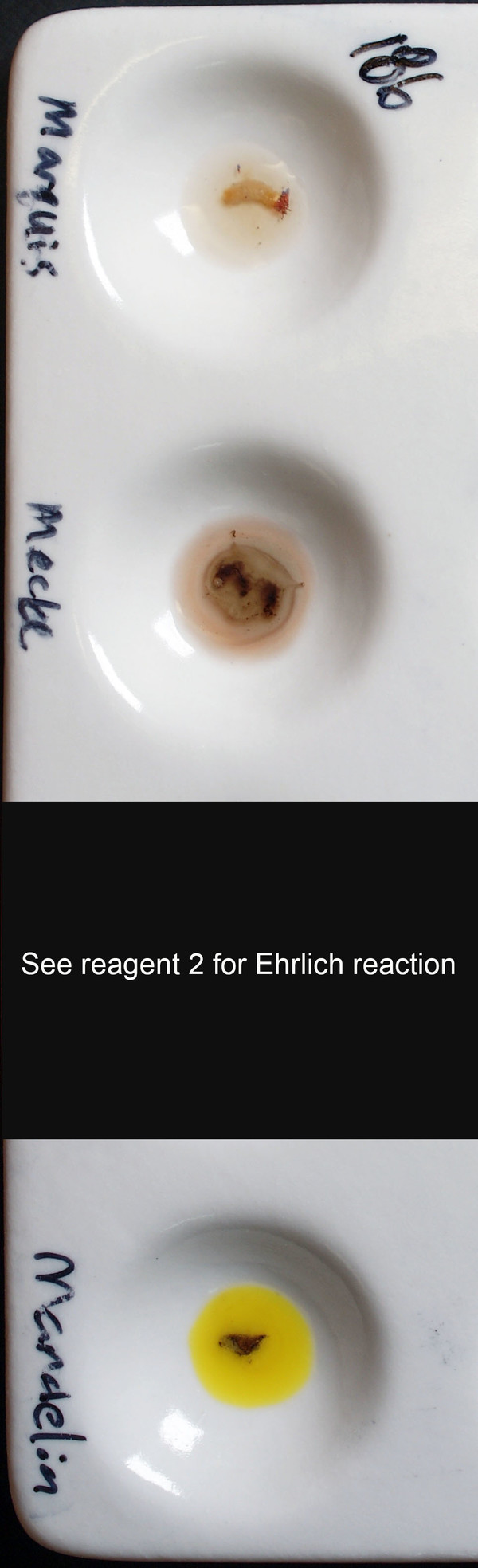 DrugsData.org (was EcstasyData): Test Details : Result #10978 - Red ...