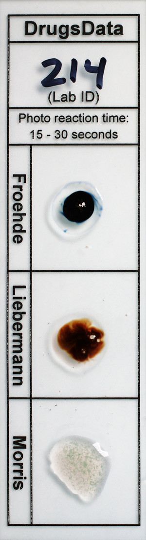 DrugsData.org (was EcstasyData): Test Details : Result #13798 ...