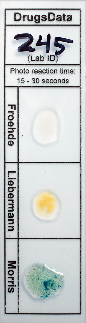DrugsData.org (was EcstasyData): Test Details : Result #14214 - Cocaine ...