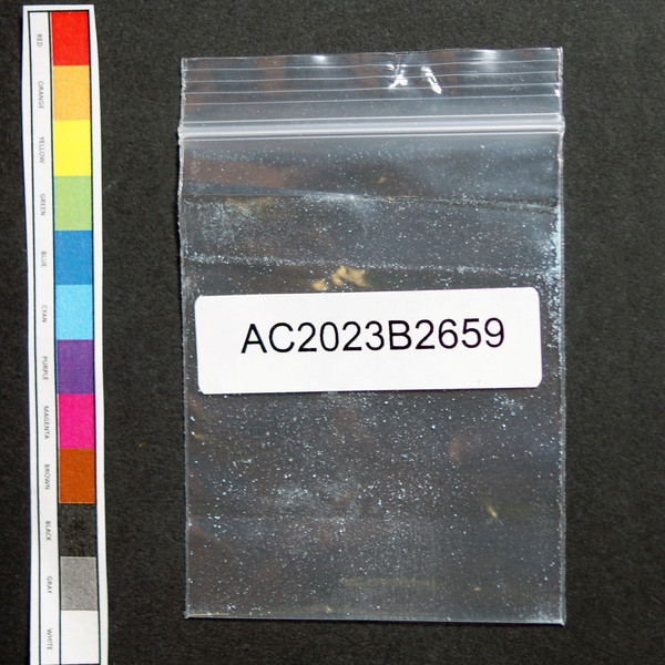 DrugsData.org (was EcstasyData): Test Details : Result #17668 - Blue ...