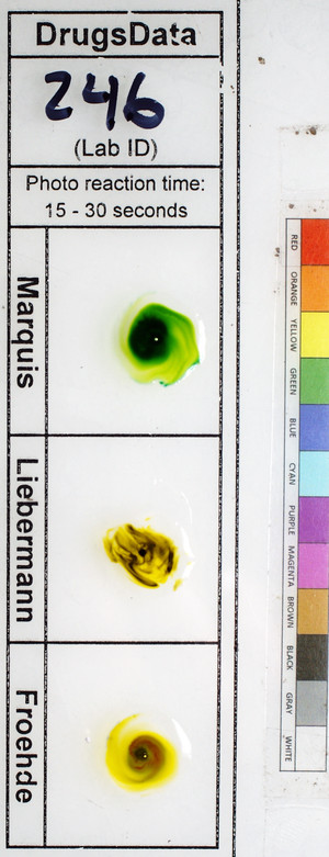 DrugsData.org (was EcstasyData): Test Details : Result #19514 - 2C-B, 19514