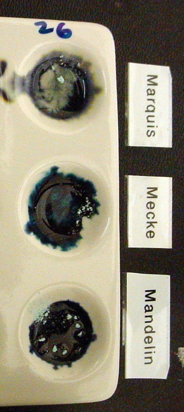 DrugsData.org (was EcstasyData): Test Details : Result #2988 - Blue ...