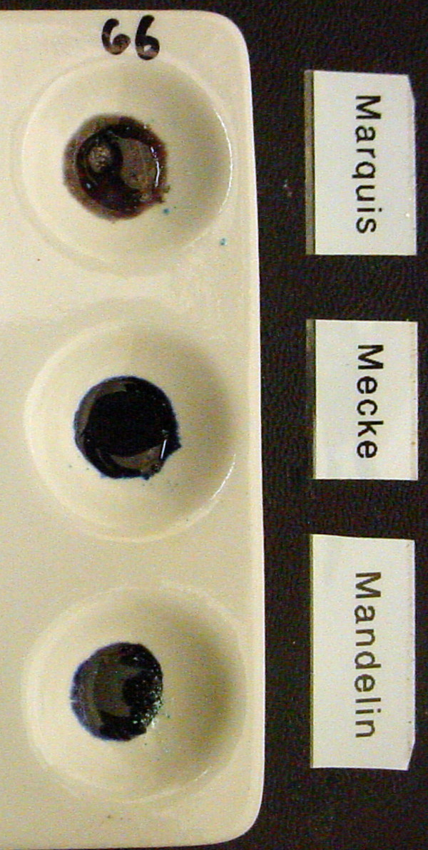 DrugsData.org (was EcstasyData): Test Details : Result #3326 - Blue ...