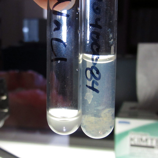 DrugsData.org (was EcstasyData): Test Details : Result #5346 - 2F-DCK, 5346