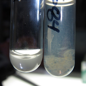 DrugsData.org (was EcstasyData): Test Details : Result #5346 - 2F-DCK, 5346