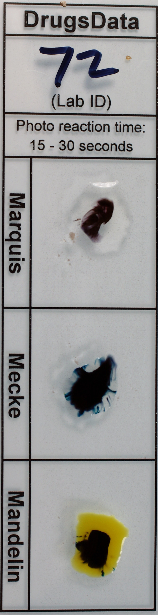 DrugsData.org (was EcstasyData): Test Details : Result #8613 - MDMA ...